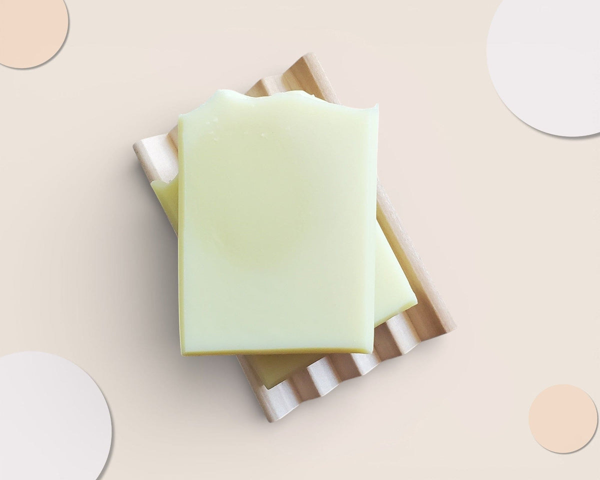 BJ's "Skeeter Beater" Insect Bug Repellent Soap – Hickory Ridge Soap Co